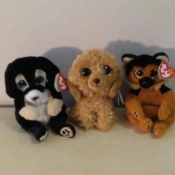 Beanie Babies | Toys | 3 Ty Beanie Babies Puppies | Poshmark